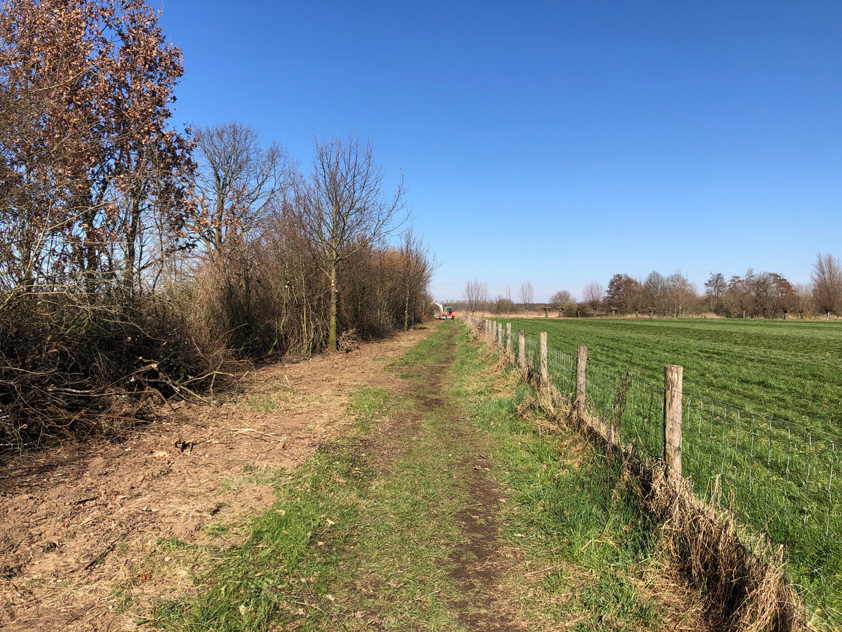 Wandelaars schrikken: pittoresk wandelpad in Oss is ineens een brede ...