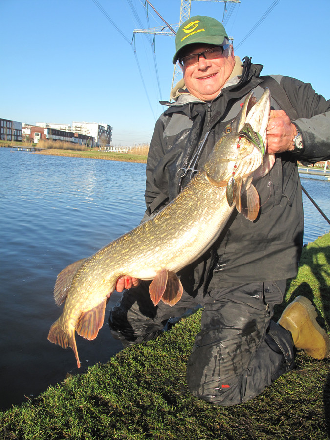 Ed Stoop stopt na 20 jaar met Vis TV | Foto | AD.nl