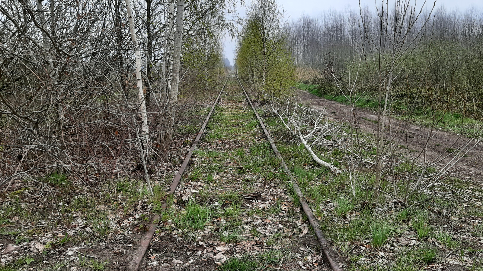 Wandelen, fietsen en paardrijden: Duits Lijntje moet meer tot leven ...
