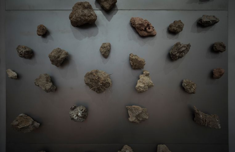 Met de ‘klimwand’ van kunstenaar Jos de Putter kreeg de Tweede Kamer ...