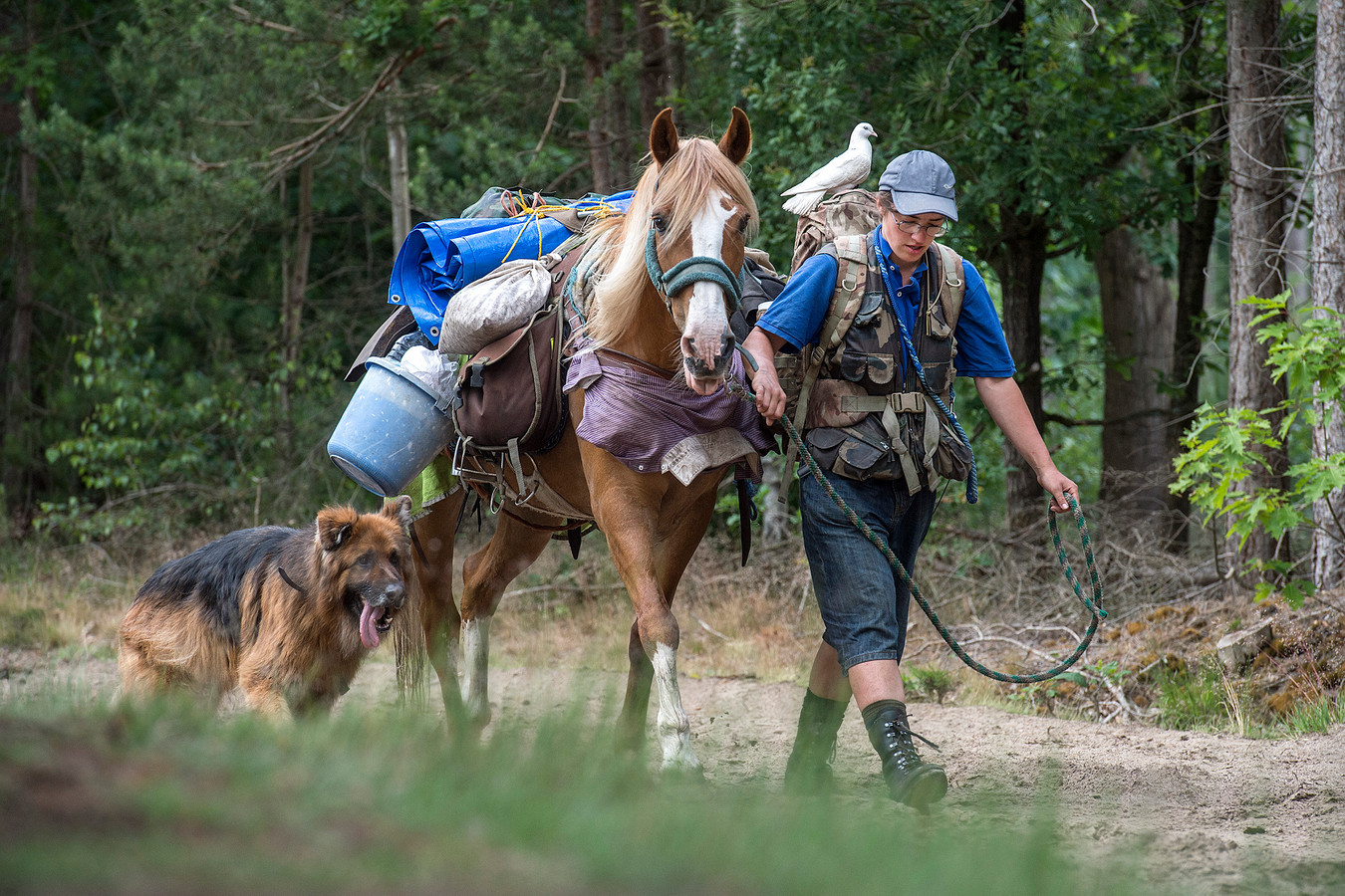 Tamarinde (33) wandelt met paard, duif en hond: ‘Je ziet zoveel mooie ...