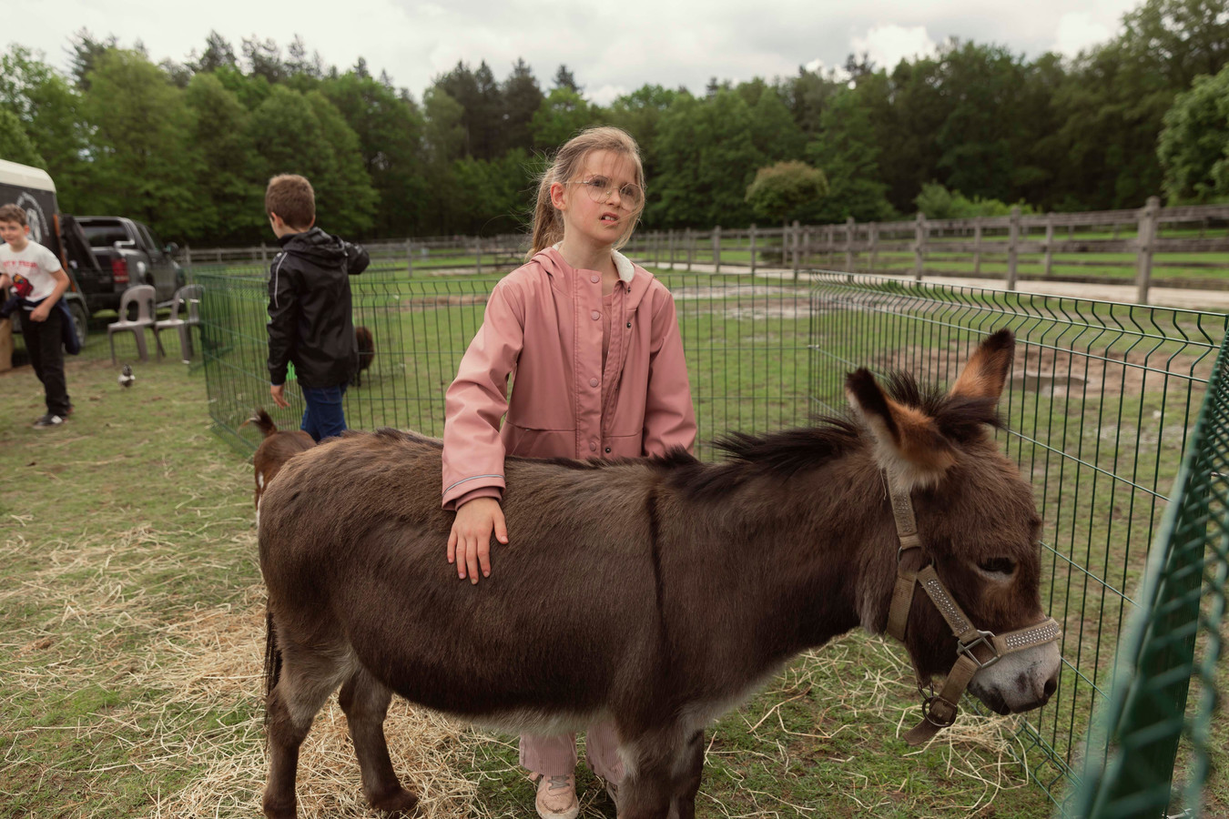 Boerderijdagen laten kinderen kennis maken met landbouwleven | Foto ... Boerderijdagen laten kinderen kennis maken met landbouwleven | Foto ...