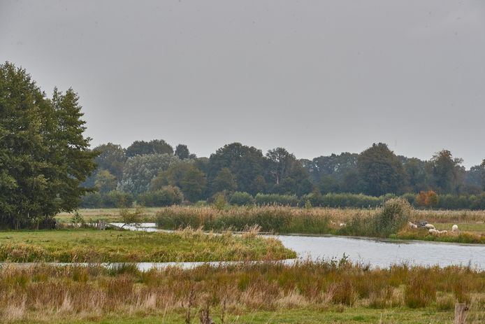 Nieuwe brug over Berkel moet trekkers uit dorpskern Almen weren ...