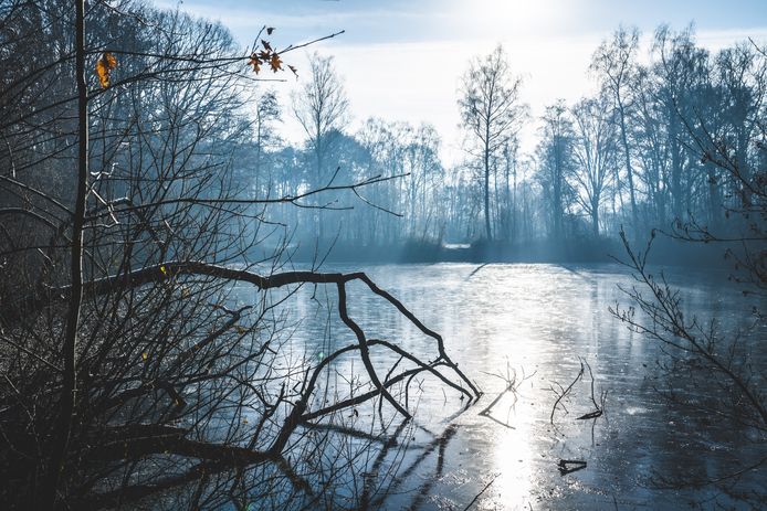 IN BEELD. Zo mooi is Het Leen op een koude winterochtend: “Winterzon ...