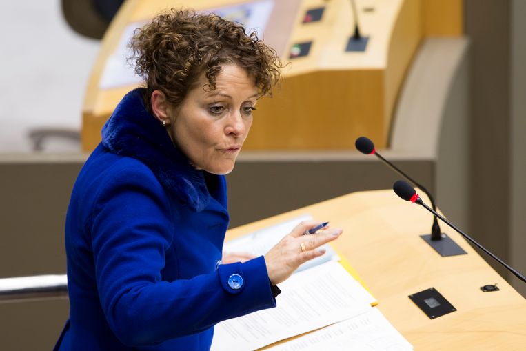 Lydia Peeters volgt Tommelein op als Vlaams minister van Energie en ...