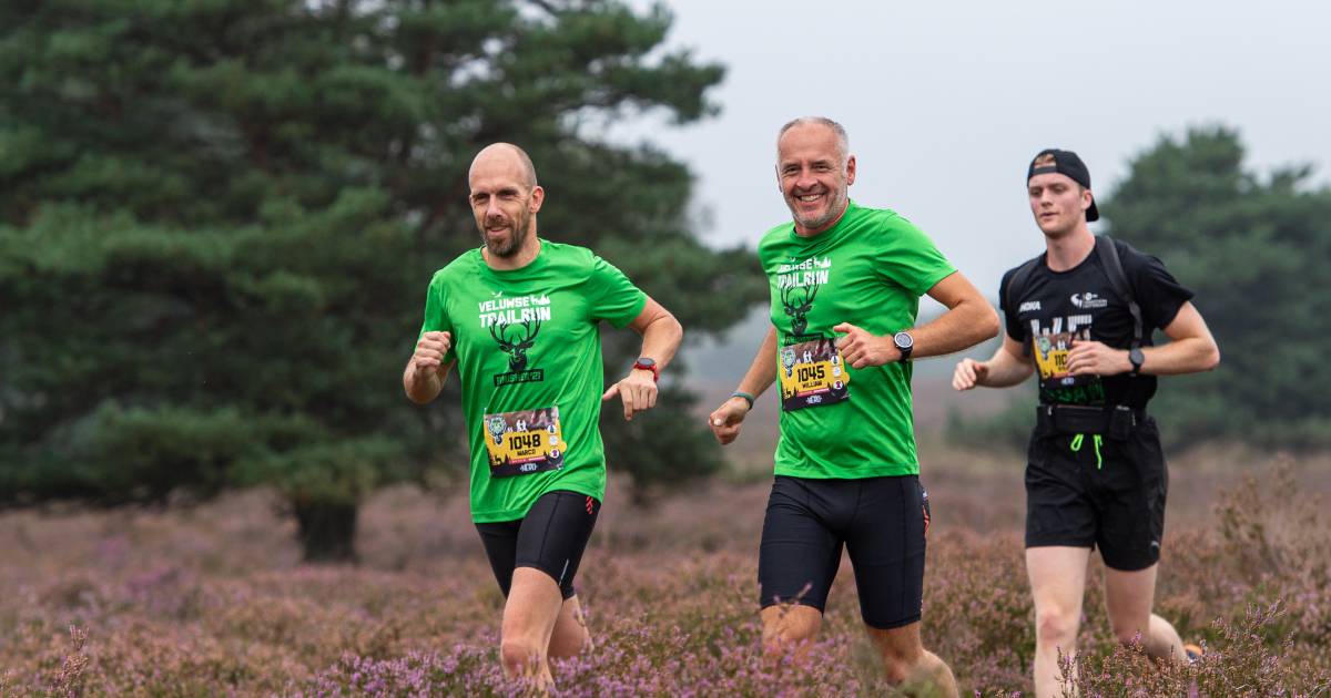 Volle bak genieten tijdens Veluwse Trailrun: ‘We lopen in het mooiste ...