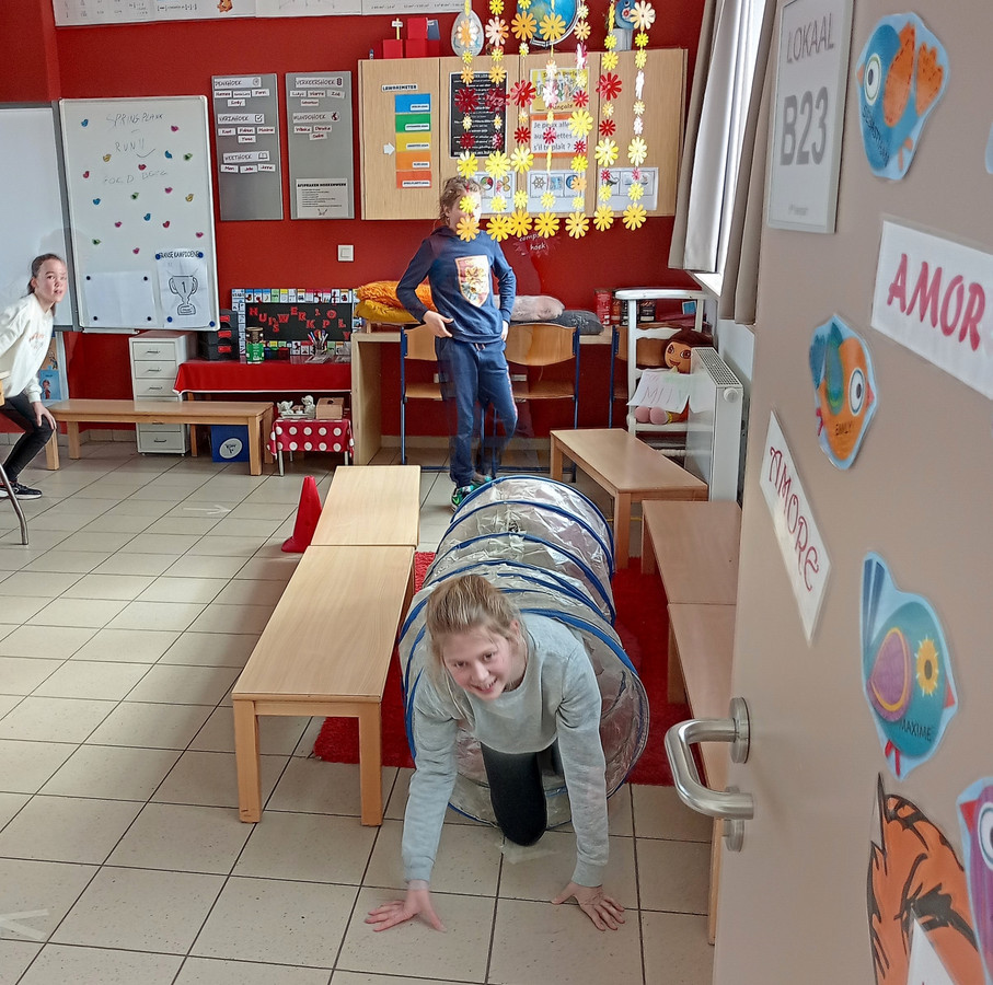 Basisschool De Springplank organiseert ‘Springplankrun’: “De kinderen ...