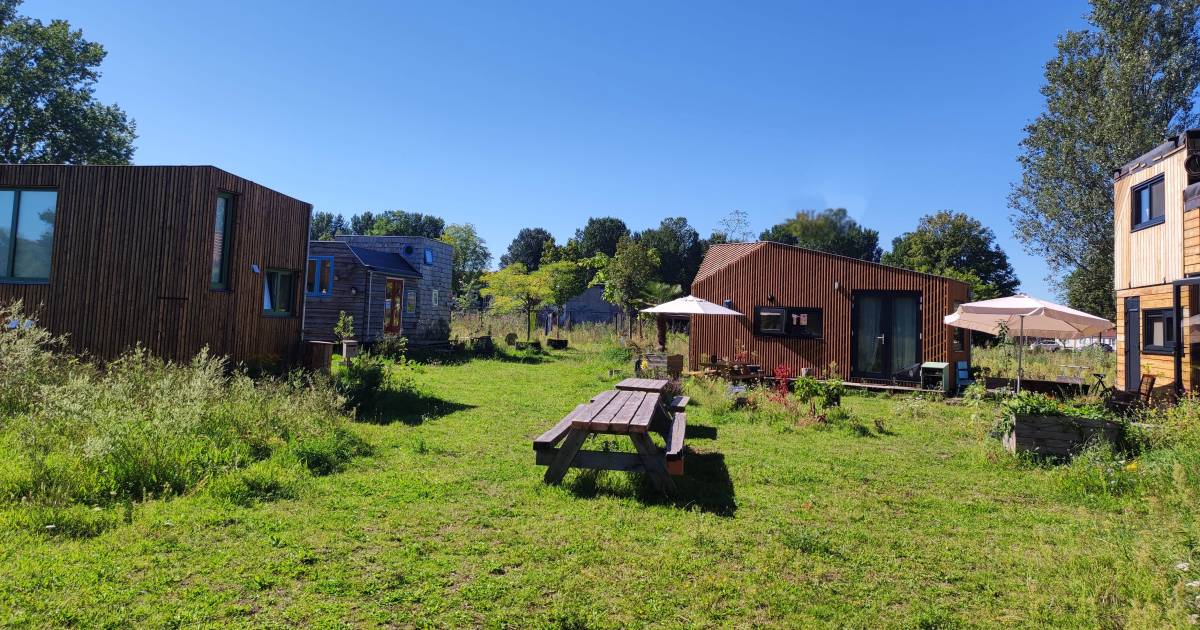 Open dag tiny houses Tussentij | Dordrecht | AD.nl