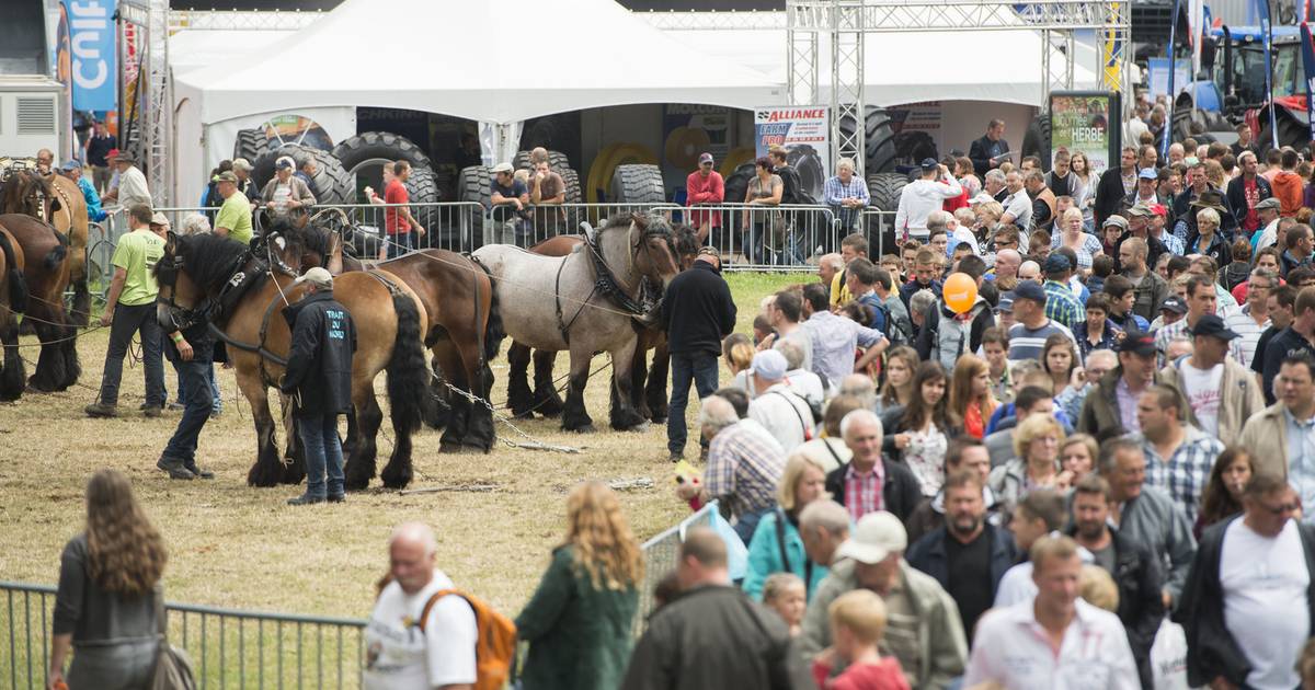 La Foire agricole de Libramont proche de son record | Economie | 7sur7.be
