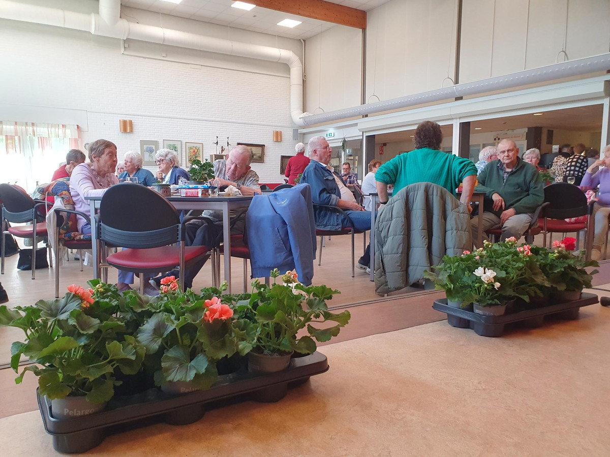 Bingo is verboden, dus roepen senioren nu ‘geranium!’ bij hun geliefde ...