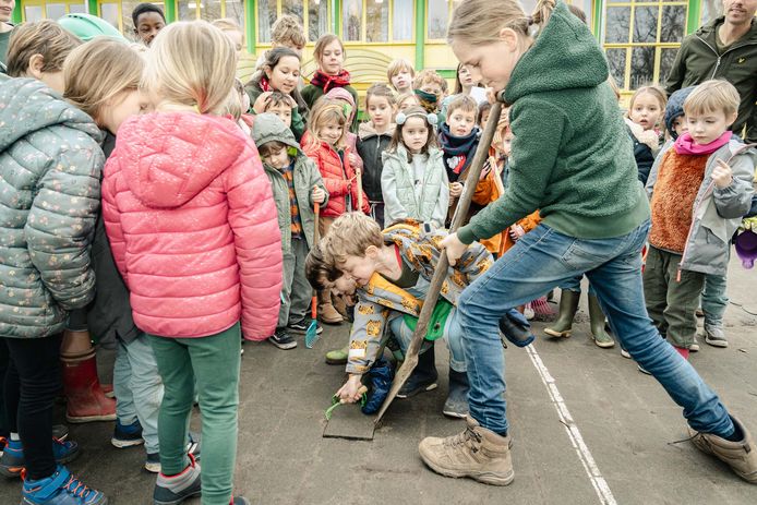 ’t Groen Schooltje in Hove wipt eerste tegels voor nieuwe ‘Groene Oase ...