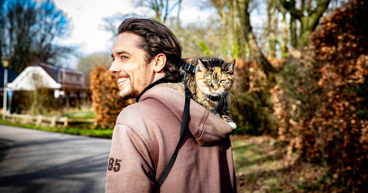 Een wandeling van 2150 kilometer met zijn kat, Willy doet het: ‘Ik denk ...