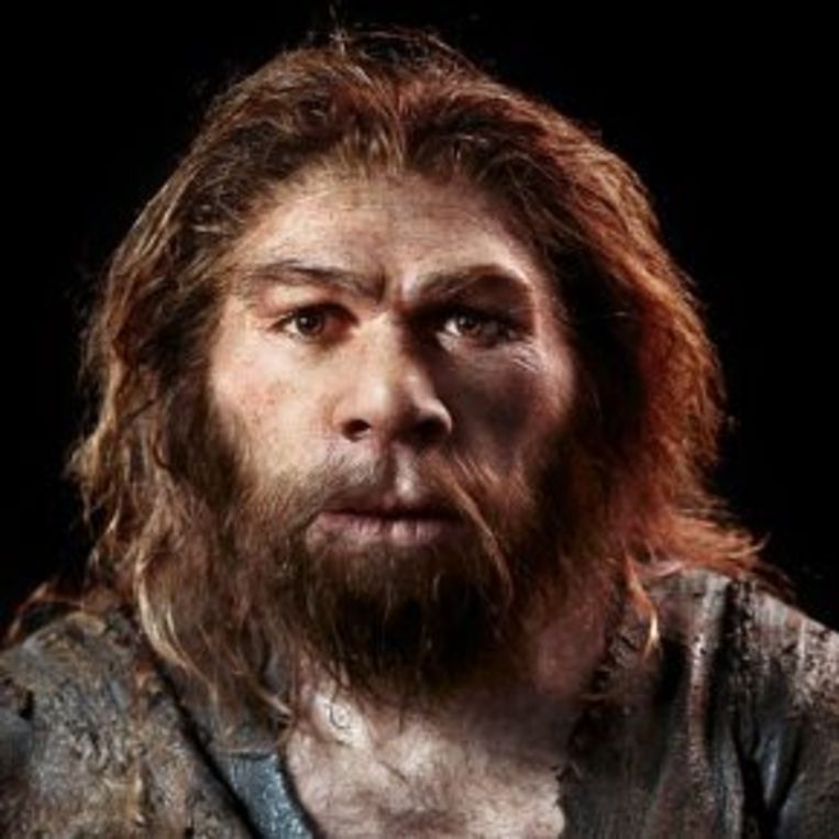 Seks in de prehistorie: onze voorouders deelden zeker drie keer de ...