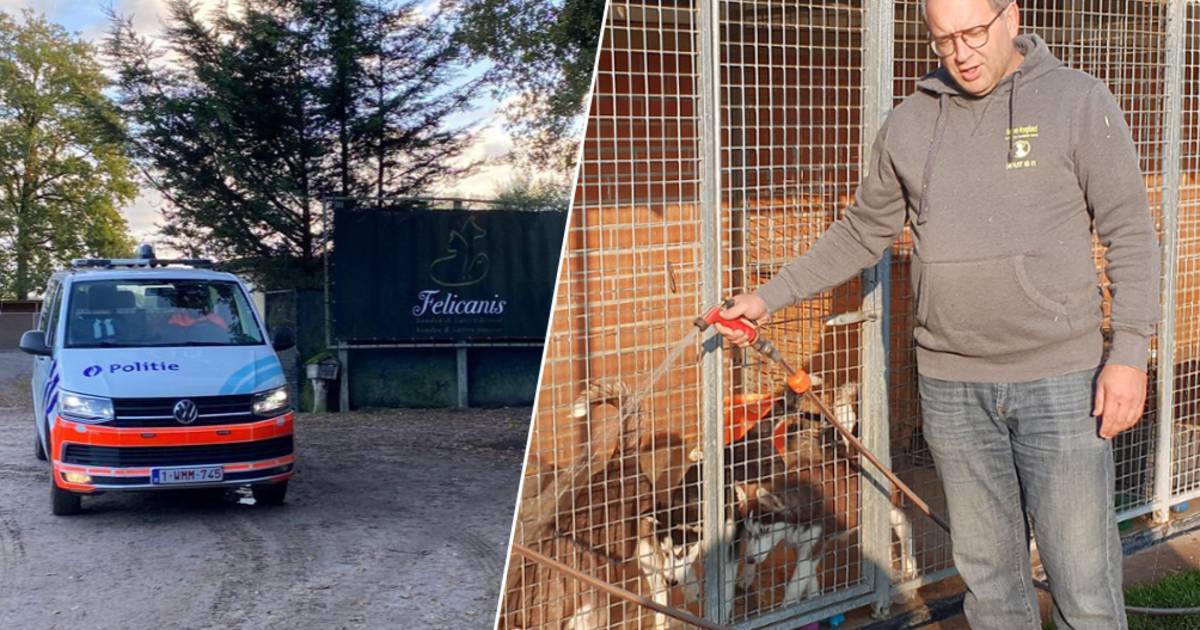 Politie valt binnen bij kennels van ‘broodfokker’ Felicanis: “We zorgen ...