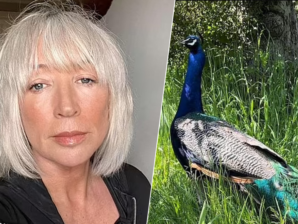 Schokkende beelden van kinderen die pauw River doodschieten met ...