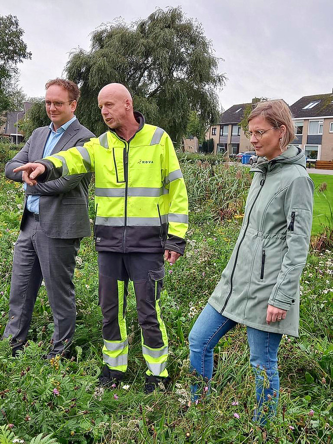 Meer voedsel en schuilgelegenheid voor insecten in Zwartewaterland ...