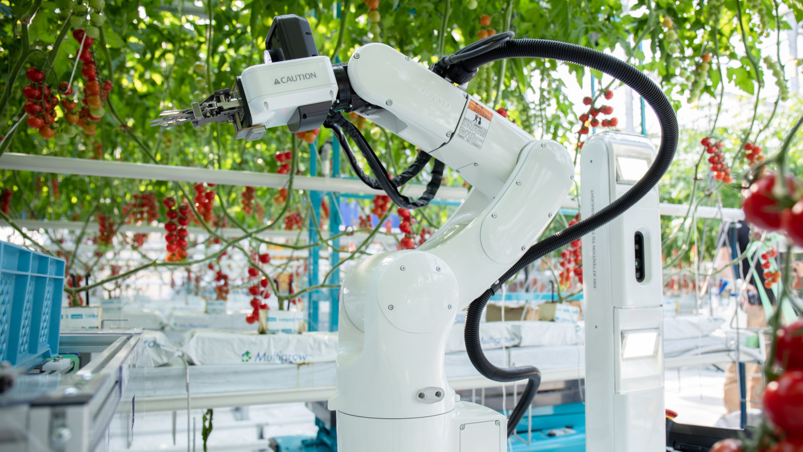 Unieke samenwerking Certhon en DENSO: ‘Zij brengen robots en data in ...