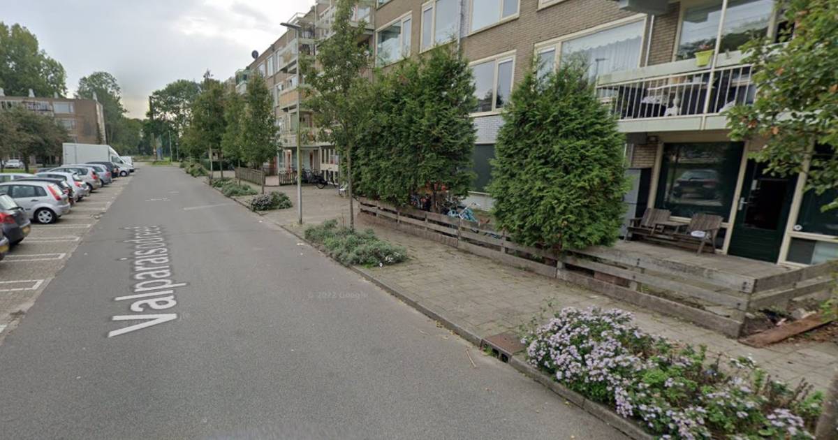 Vechtpartij in Overvecht: twee jongens proberen op straat mannen te ...