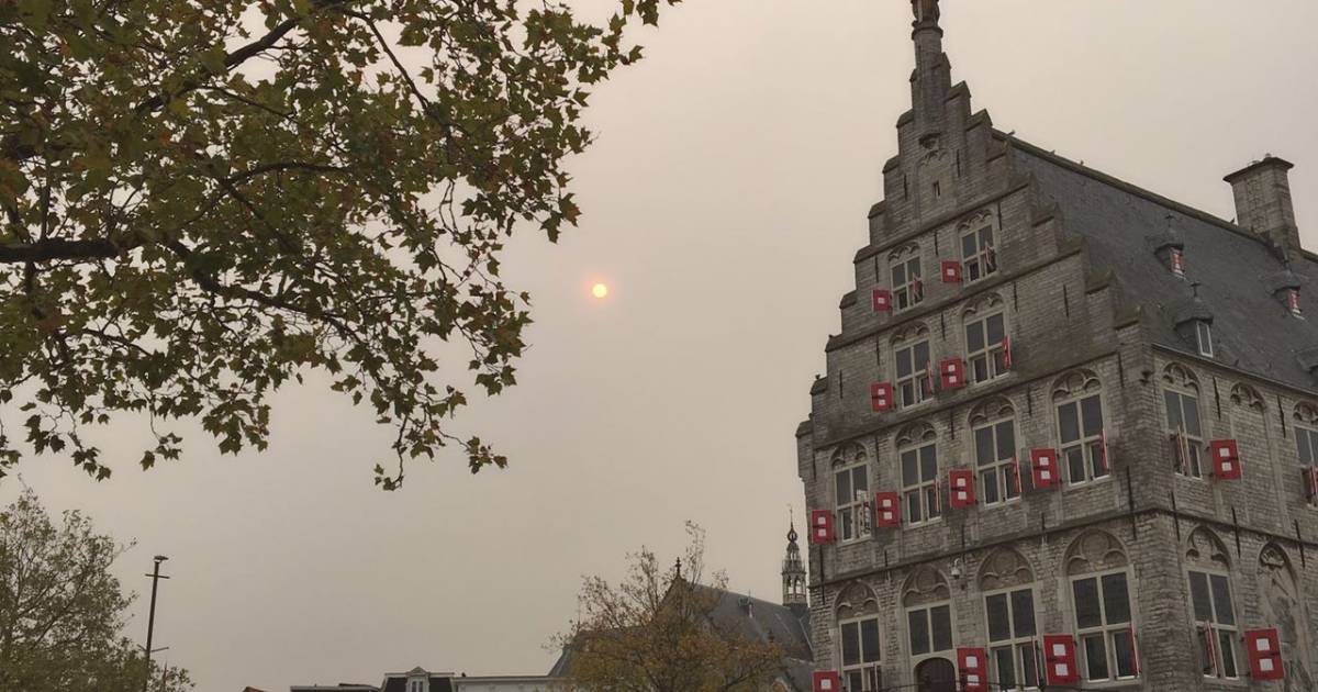 Goudse erepenning voor vrijwilligers De Hanepraij | Gouda | AD.nl