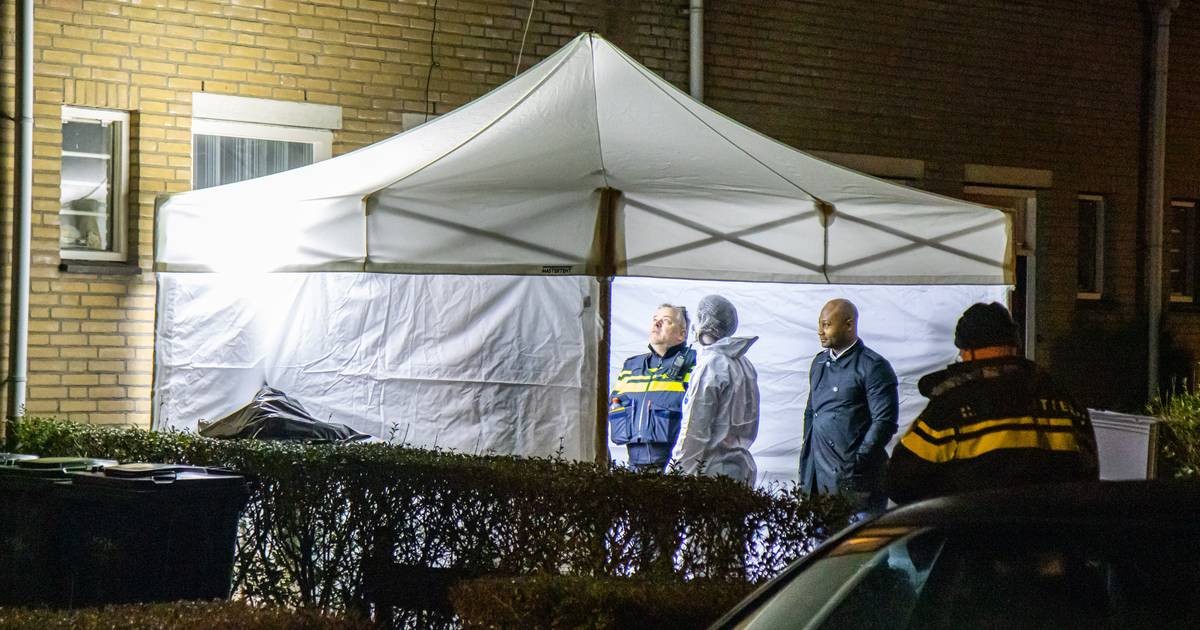 Dode vrouw gevonden in woning Rotterdam-Zuid na melding schietpartij | Rotterdam | AD.nl