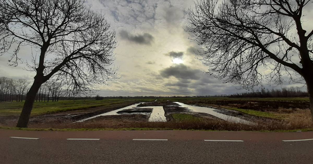 Vervuild perceel Winterdijk in recordtijd gesaneerd; zie wat er in de ...