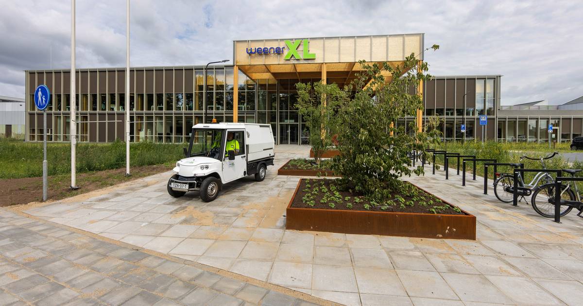 Waarom bij Weener XL nog steeds niet iedereen gelukkig is: ‘Een blinde ...