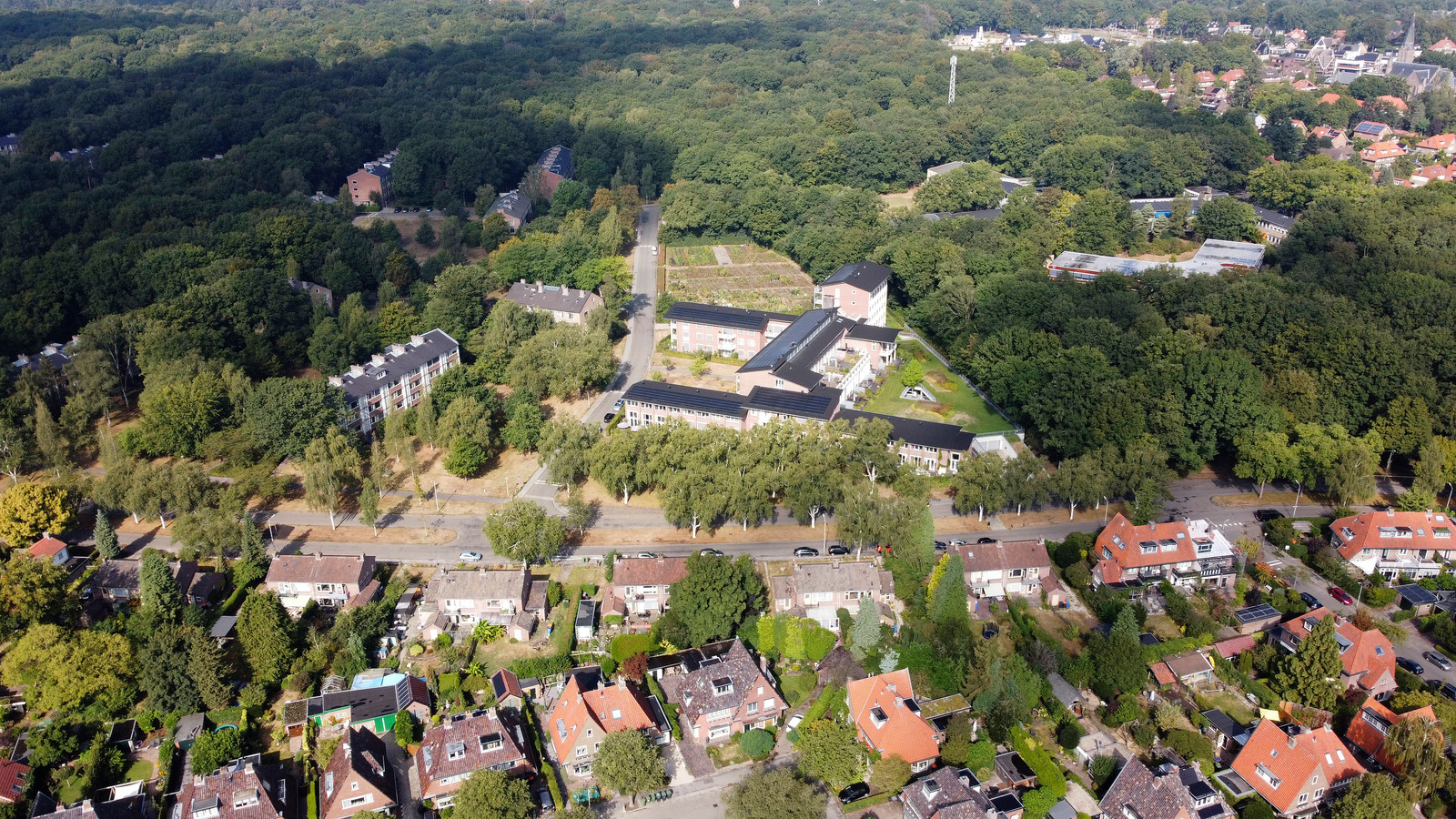 Intimidatie en mishandelingen lopen spuigaten uit in deze wijk: ‘Mijn ...