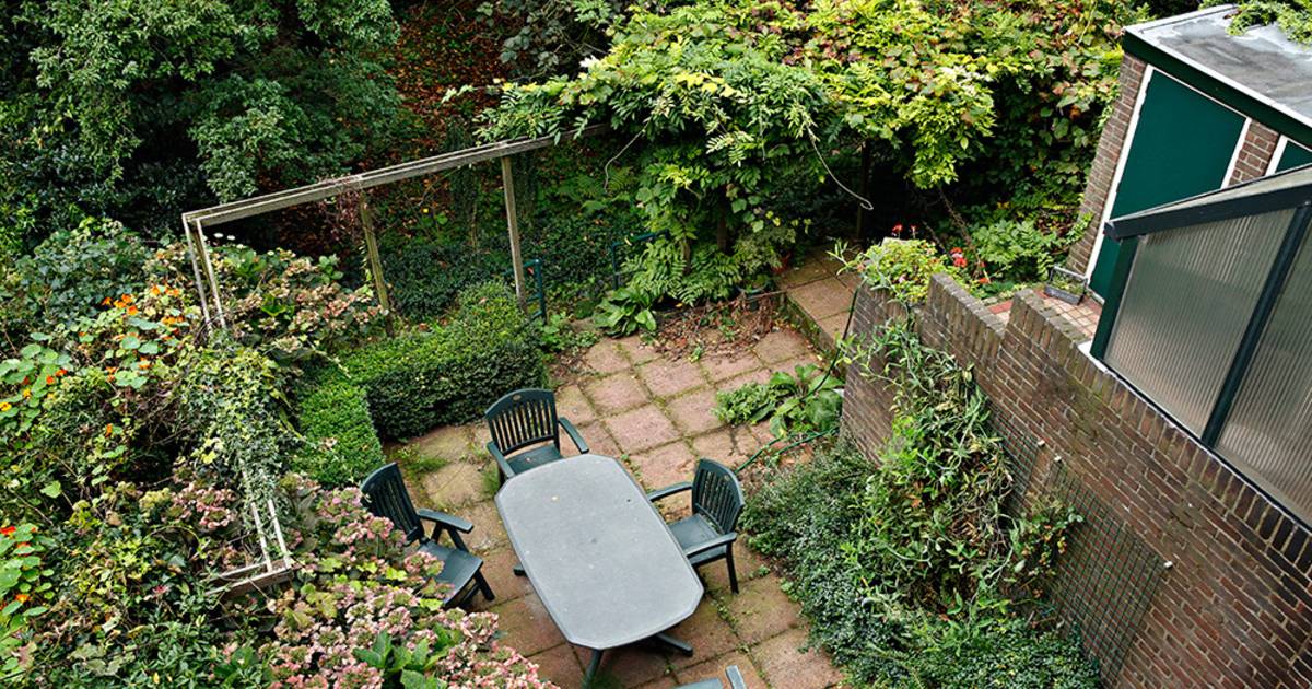 Goedkoop rijtjeshuis met tuin steeds schaarser | Utrecht | AD.nl