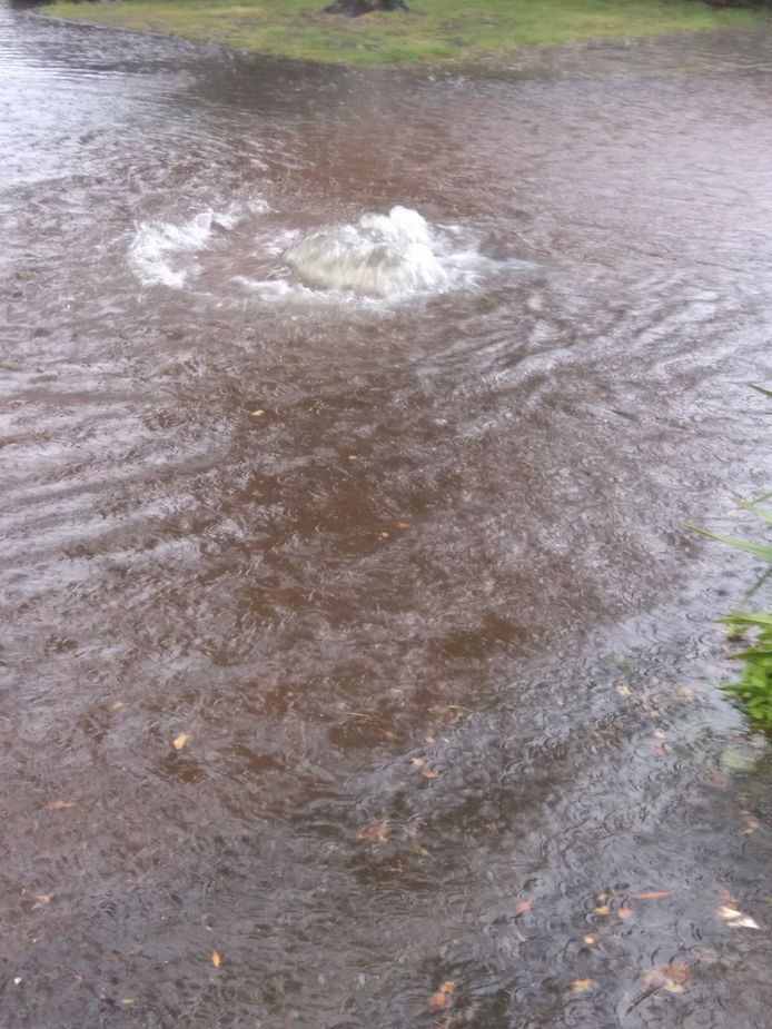 Woning staat blank: Gerrit en Lidy uit Denekamp logeren op de camping ...
