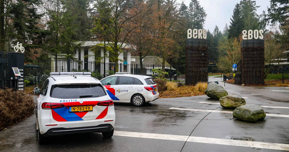 Man met kind dreigt met groot mes in Apenheul | Binnenland | bndestem.nl