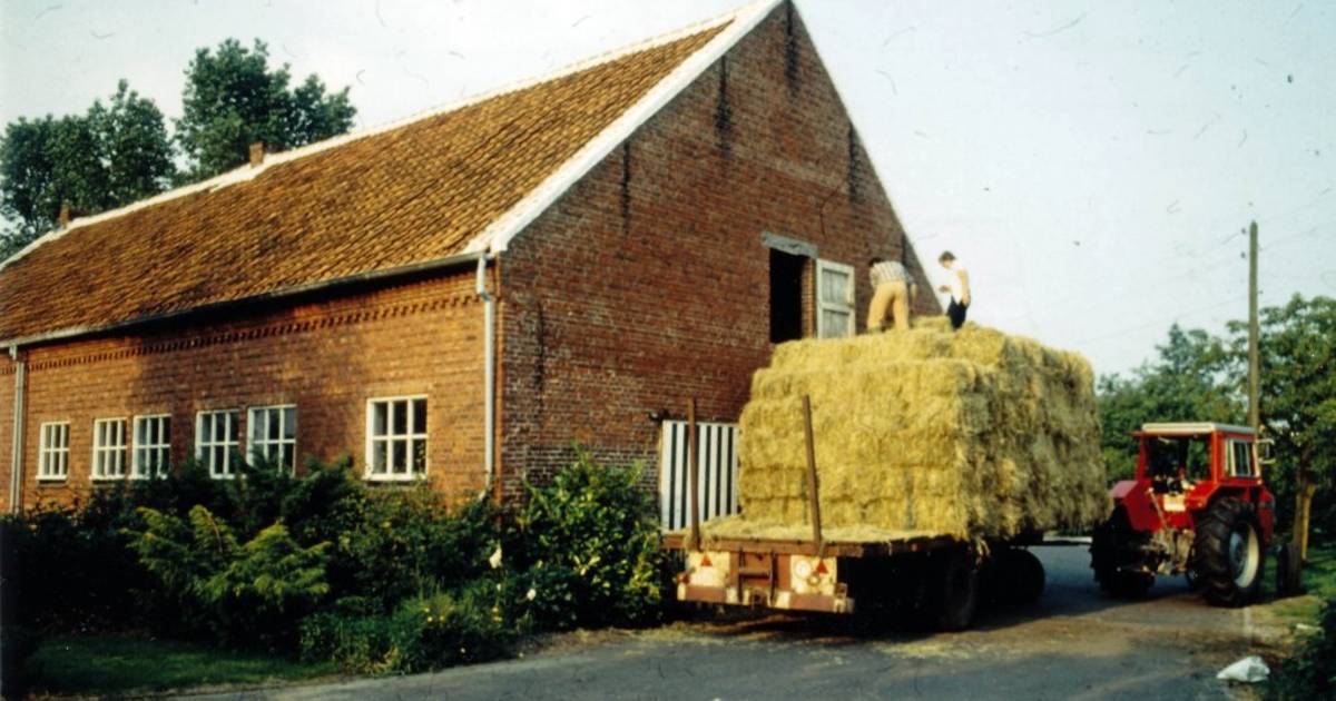Hoeve Sels staat centraal tijdens Erfgoeddag | Oud-Turnhout | hln.be