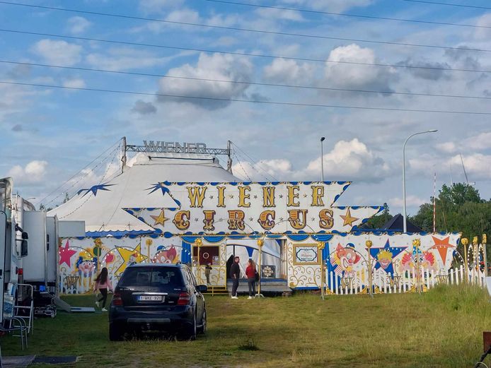 Wiener Circus voert extra shows op in Elslo | Evergem | hln.be