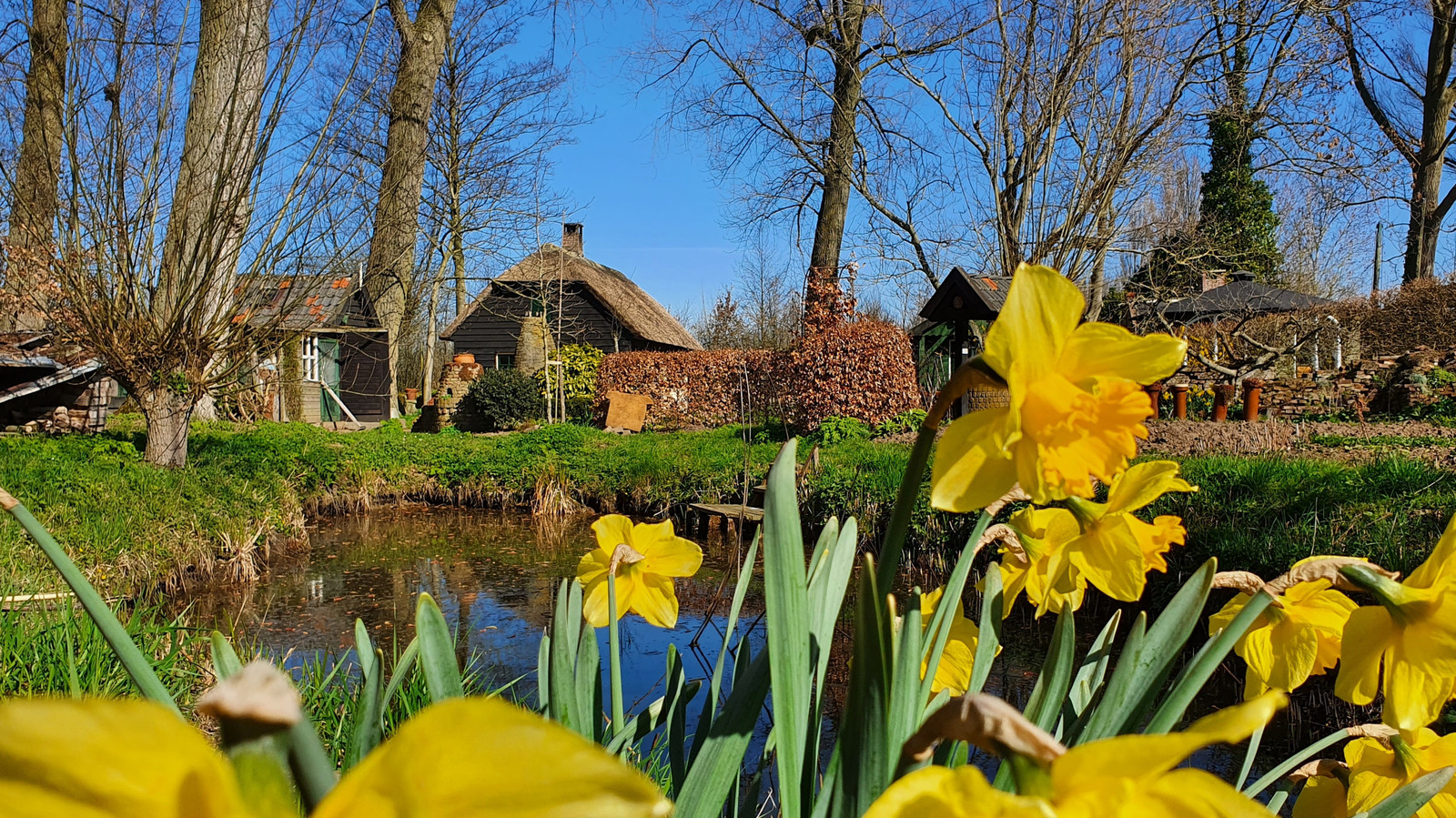 Duyls Bos bij Almkerk ademt tijdens de pinksterdagen de sfeer van de ...