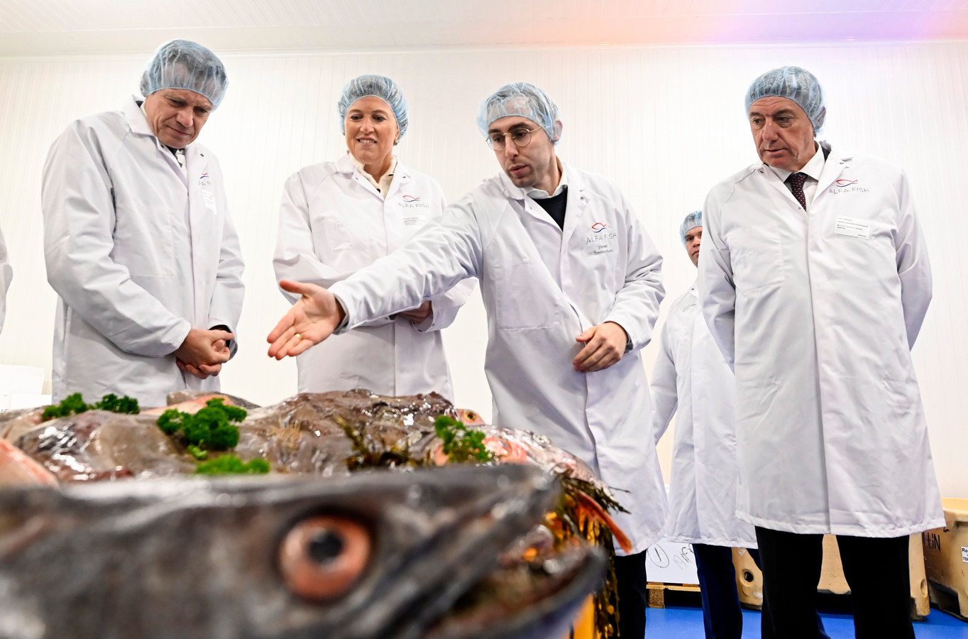 Drie ministers fileren een vis bij uitbreiding Alfa Fish in Sint ...