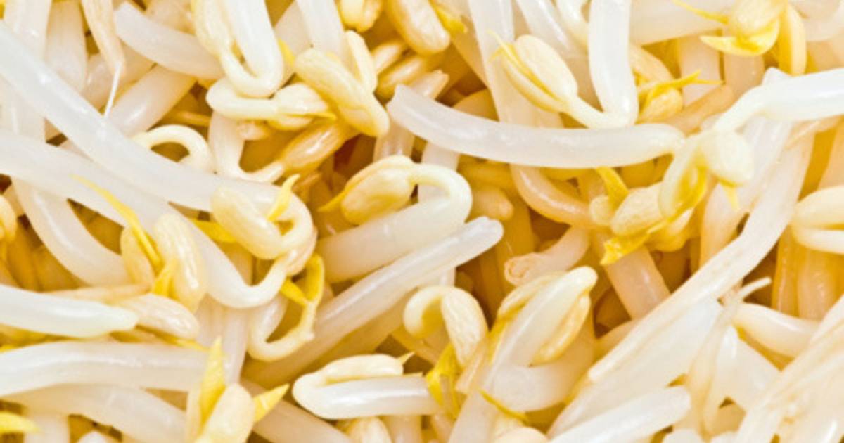 "Sojascheuten kunnen oorzaak EHEC-epidemie zijn" | Buitenland | hln.be