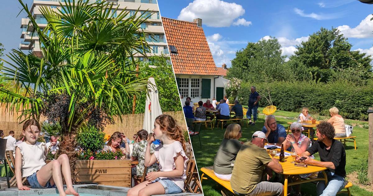 Beleef de zomer op zijn best: ontdek hier 9 zomerbars in het zuiden van ...