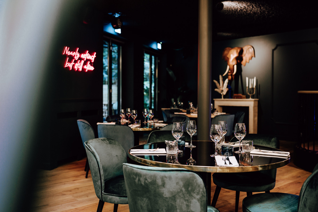 Romantisch tafelen in Brussel, de Rand en het Pajottenland: deze 6 ...