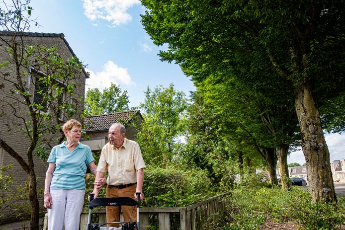 Gerrie en Jules zijn overlast van bomen beu, maar Rijdende Rechter komt ...