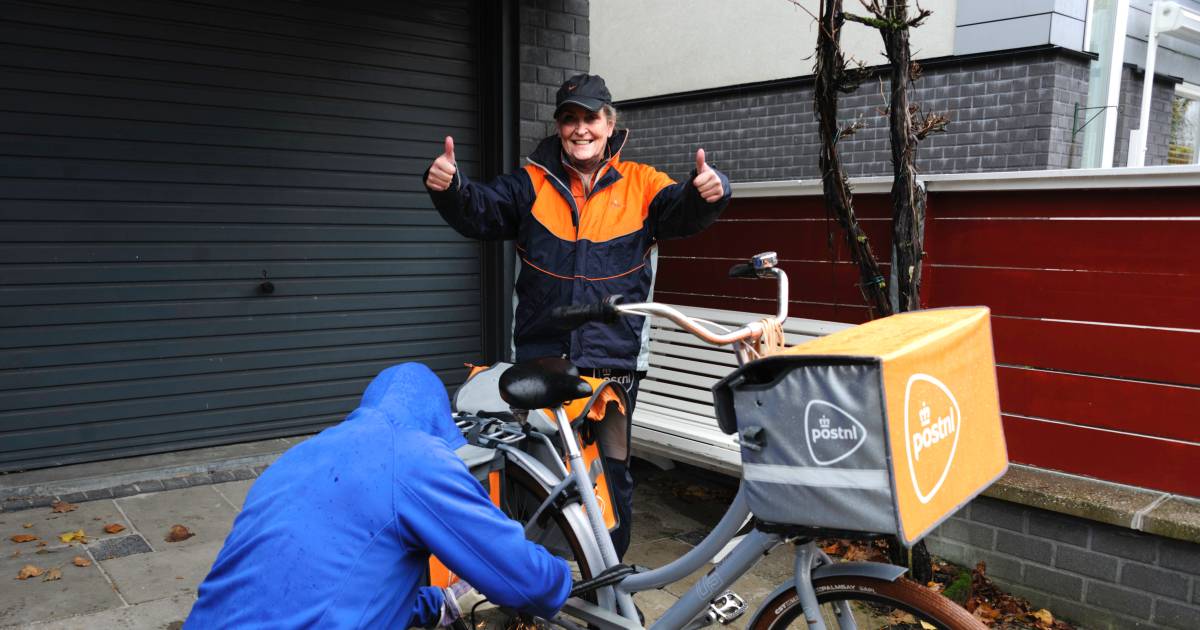 Postbezorger Karin vindt dankzij tip gestolen fiets - dubbel op slot ...