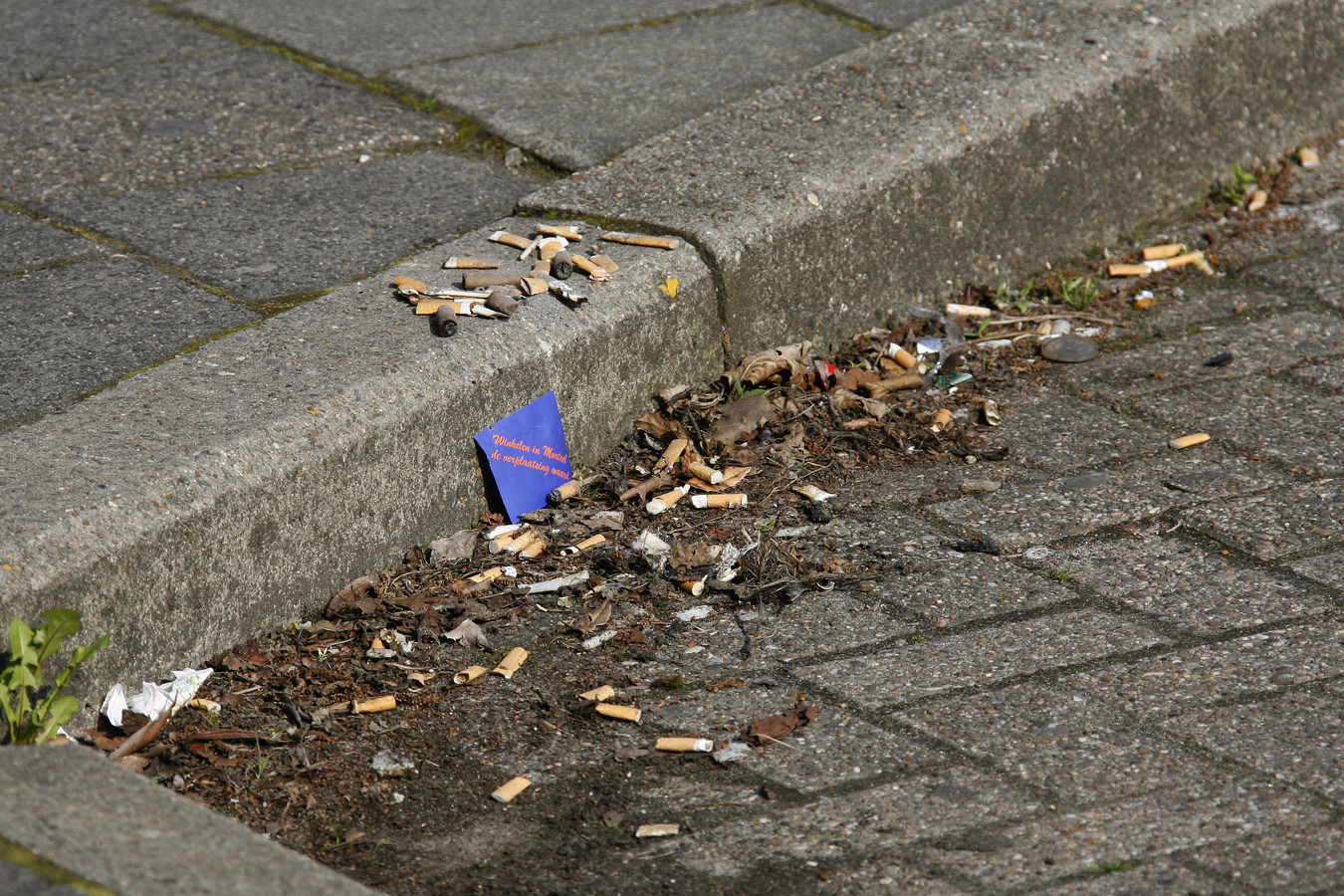 Gemeente bindt strijd aan tegen sigarettenpeuken op straat | Foto | hln.be Gemeente bindt strijd aan tegen sigarettenpeuken op straat | Foto | hln.be