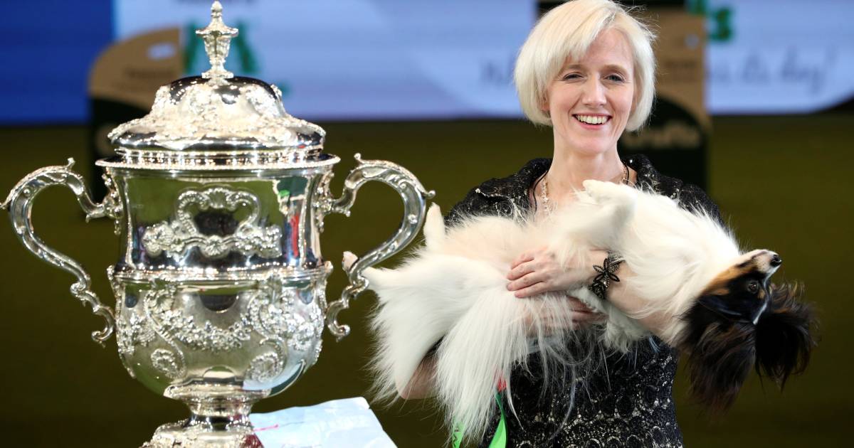 Belgische en haar hond Dylan winnen Crufts, de belangrijkste ...