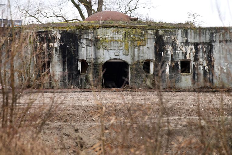 Illegaal graafwerk beschadigt het monumentale fort van Beverwijk: ‘Dit ...