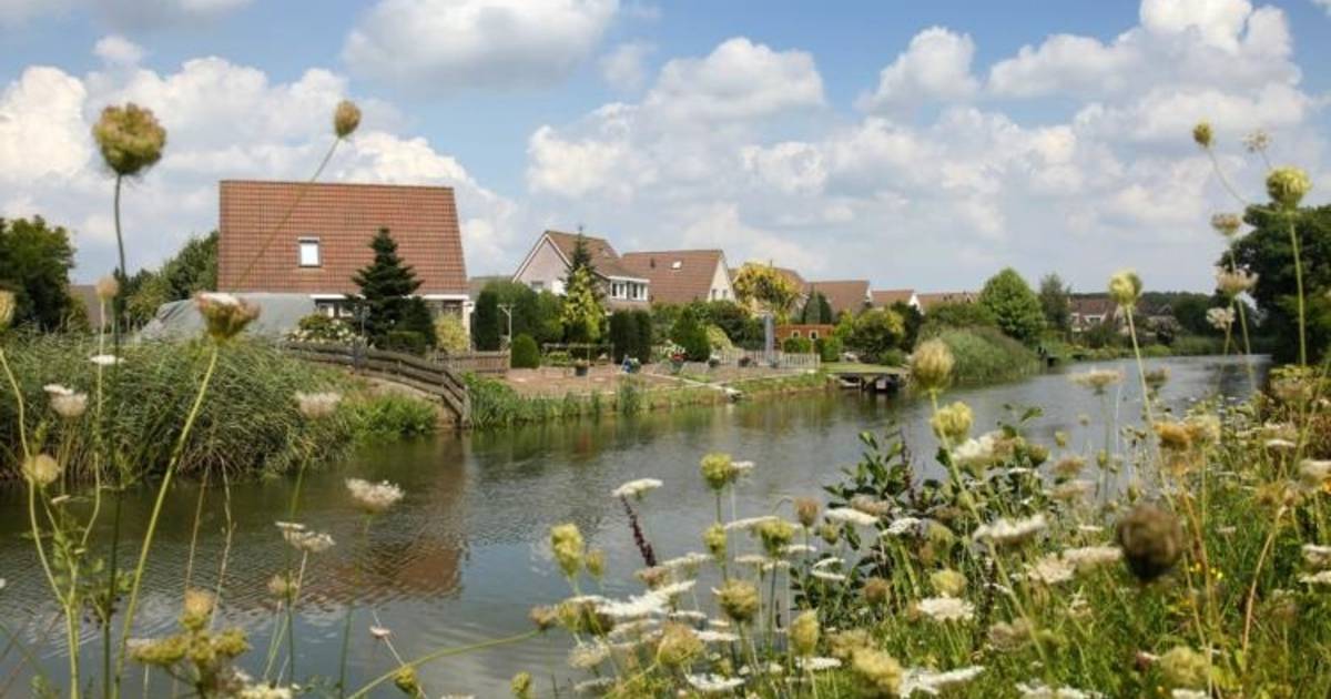 Patstelling Lingemeer | Rivierenland | gelderlander.nl