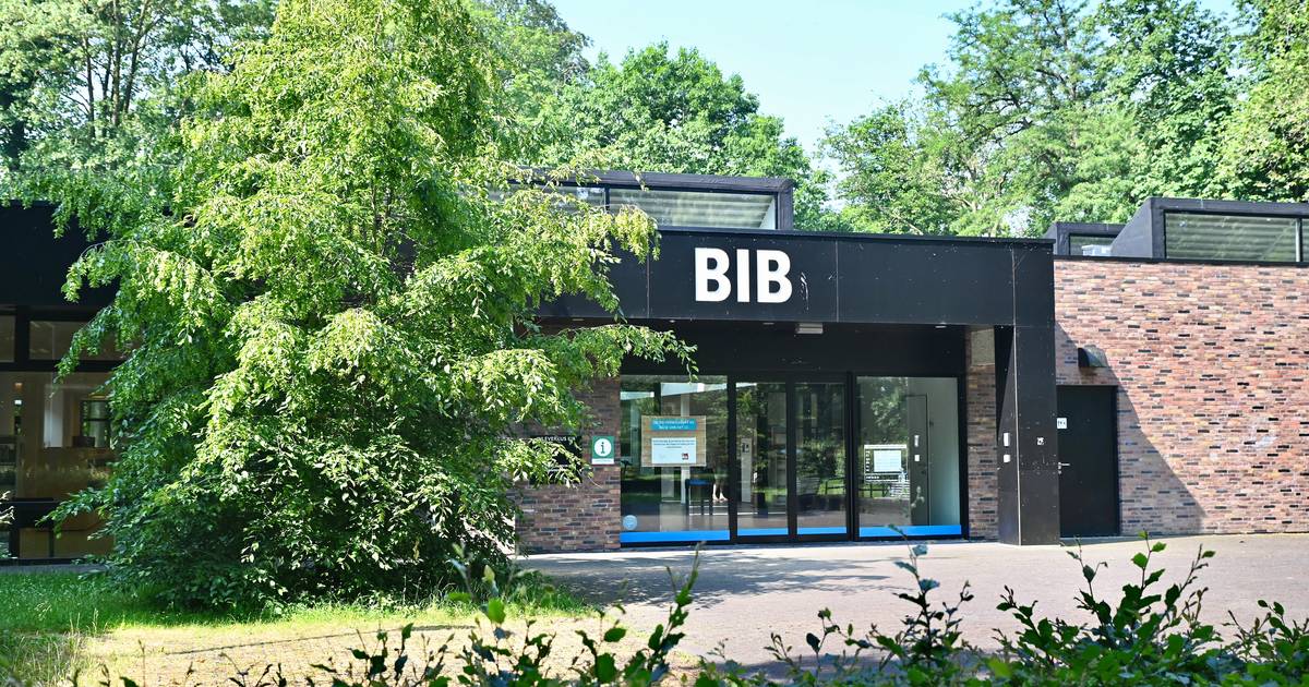 Bib verkoopt boeken tijdens boekenterras voor één euro | Wevelgem | hln.be