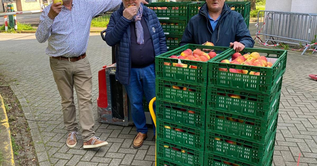 Kiwanis Diest Mosterdpot schenkt duizend kilo appels aan basisscholen ...