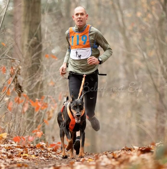 Zo hard mogelijk rennen of fietsen met je dobermann of jack russel ...