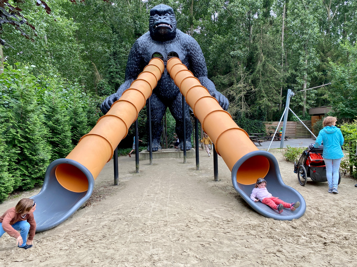 VAKANTIETIPS VOOR DE THUISBLIJVERS. Familiepark Harry Malter, waar de ...