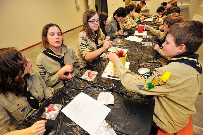 Scouting kan in clubgebouw van RKSV Oisterwijk trekken: extra ton nodig ...