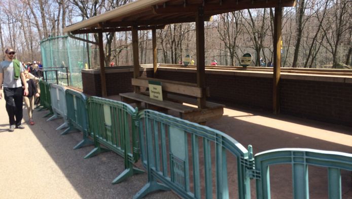 Moeder VS aangeklaagd na val kind in cheetahok | Buitenland | AD.nl