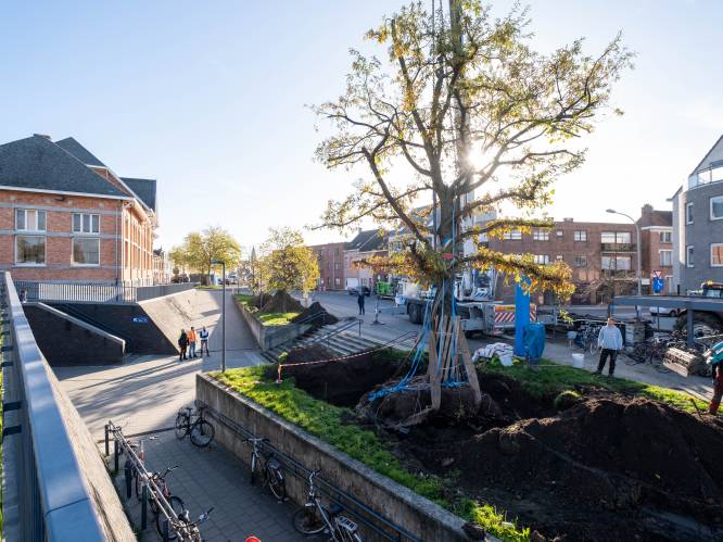 Kruispunt Jozef Wautersstraat en Stationsplein wordt afgesloten voor werken | Willebroek | hln.be